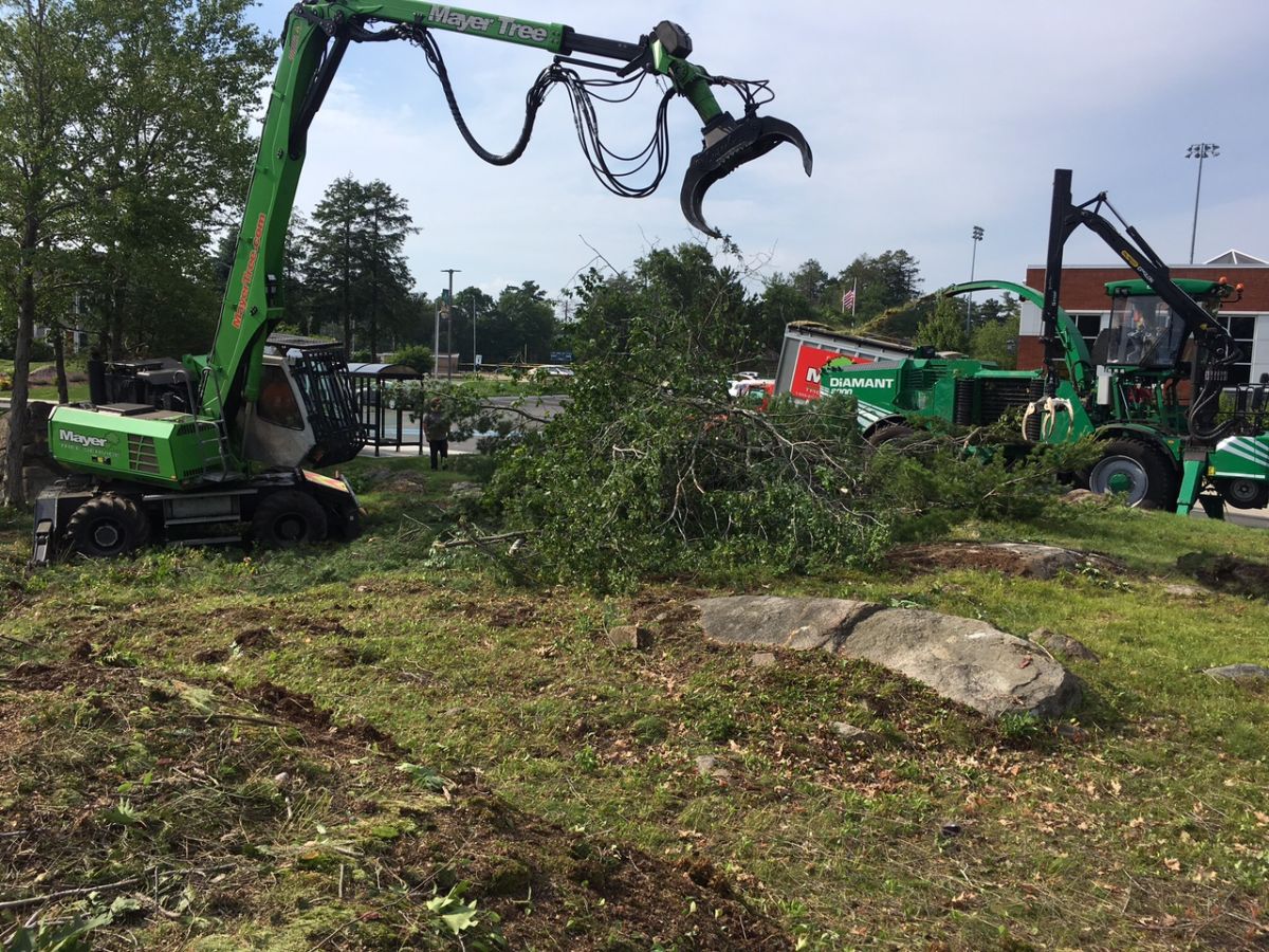 SENNEBOGEN 718 Earns Praise From Boston-Area Tree Service Company ...