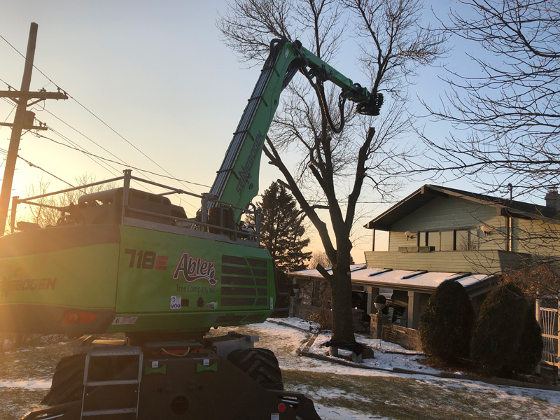 New SENNEBOGEN 718 Tree Care Handler Is A Crowd-pleaser For Abler Tree ...